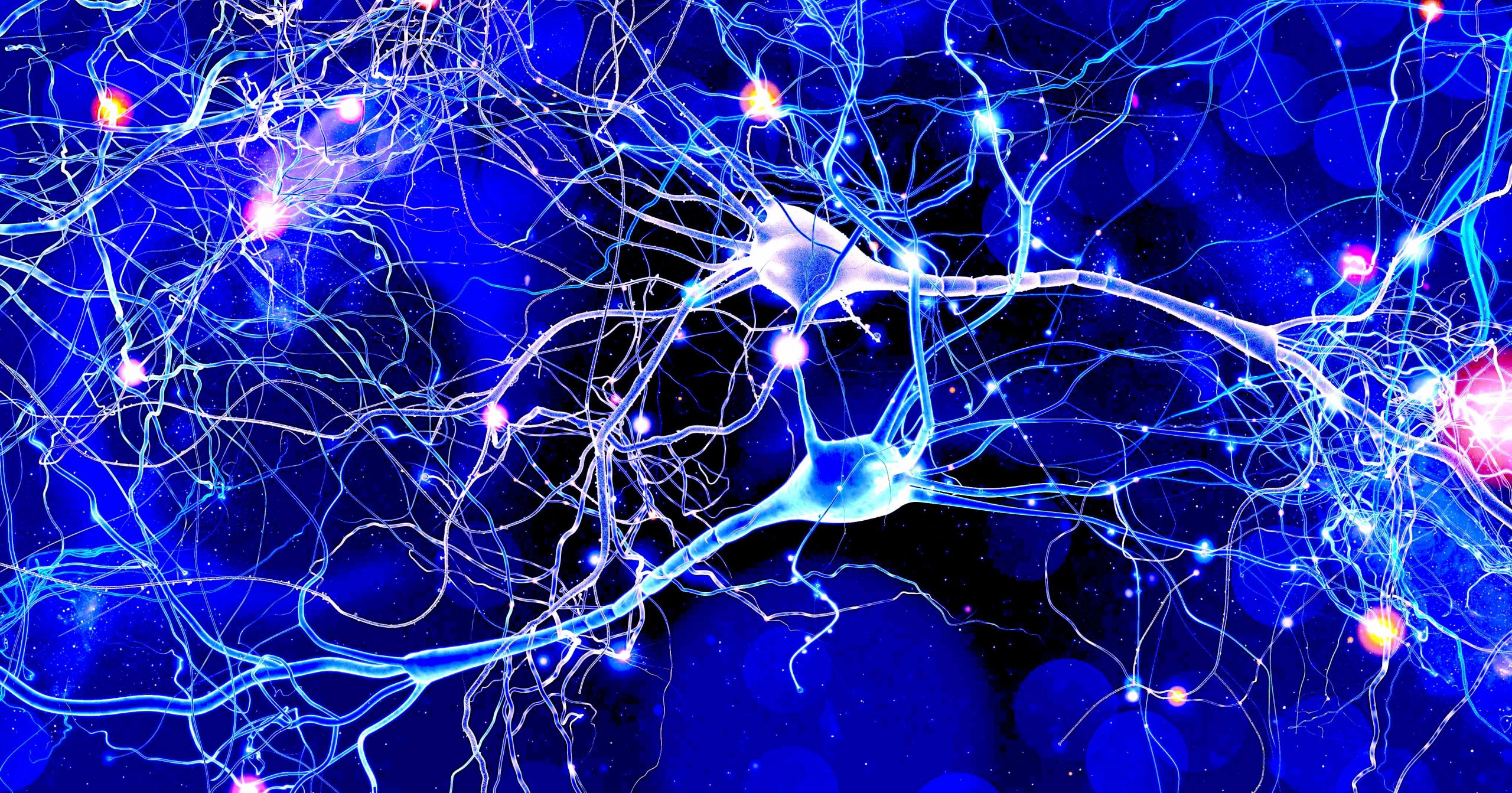 sinapsi-tra-neuroni - Valerio Rosso